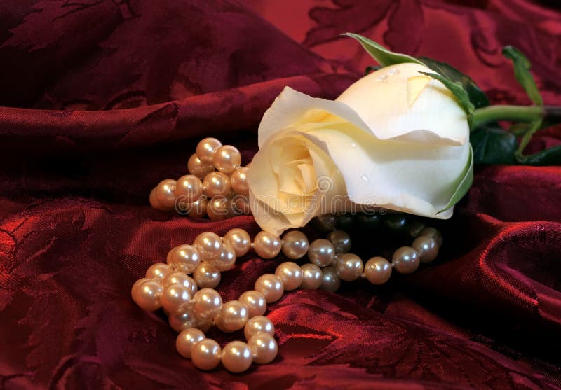 White Rose and Pearls stock image. Image of flora, flower - 2030231