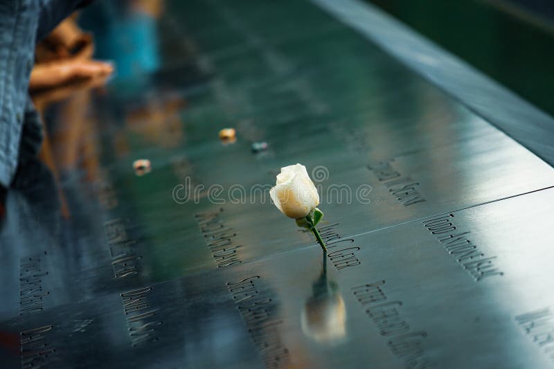 White Rose of Remembrance (Ground Zero) Editorial Stock Image - Image ...