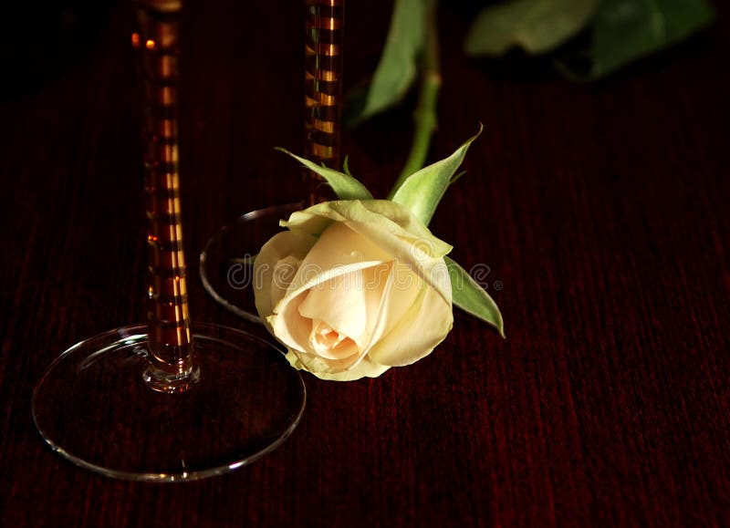 White rose on table stock photo. Image of life, marital - 1805216