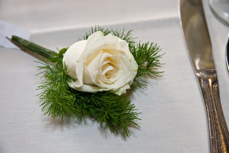 White Rose at Table Setting Stock Image - Image of setting, green: 5342987