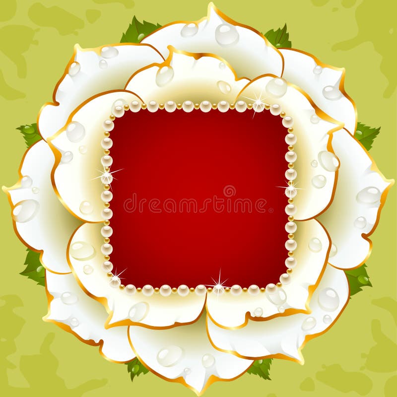 White Rose Wedding Frame with Pearl Stock Vector - Illustration of ...