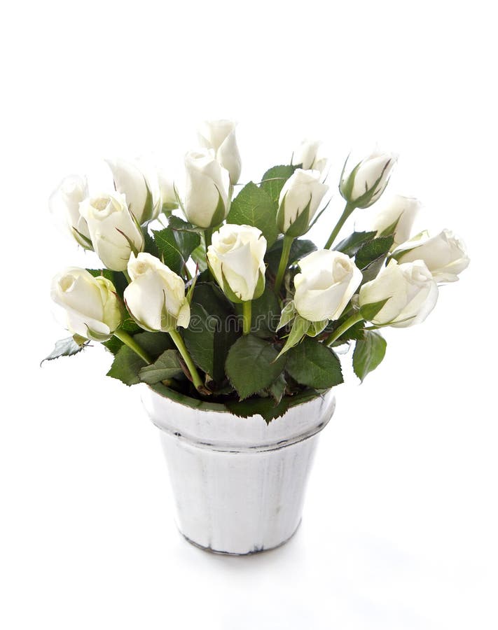 White roses stock photo. Image of bouquet, fresh, green - 23443498