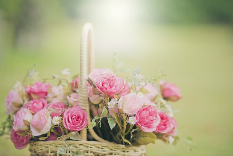 White Roses Background, Shallow Depth of Field. Retro Vintage in Stock ...