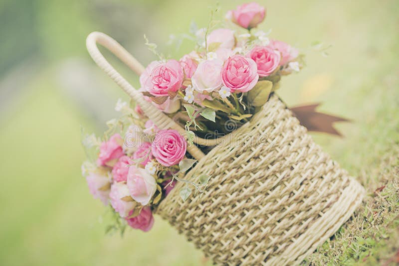 White Roses Background, Shallow Depth of Field. Retro Vintage in Stock ...