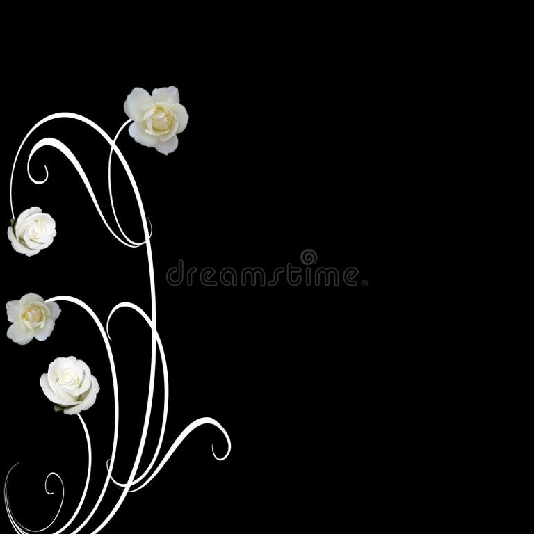 White Roses Background Stock Illustrations – 153,730 White Roses ...