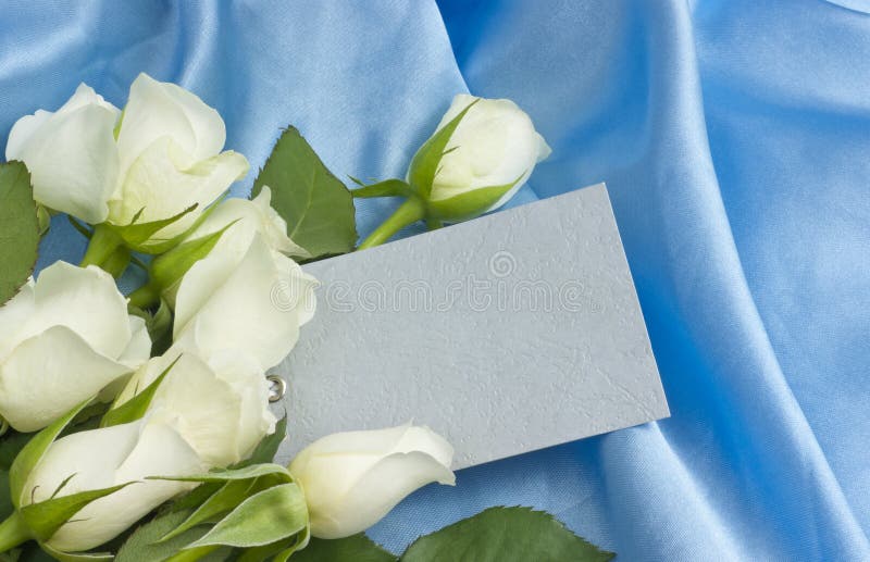 White Roses Blank Gift Tag Celebration Stock Photo - Image of ...