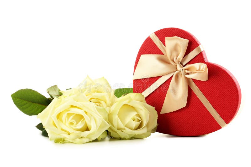 White roses stock image. Image of love, fresh, beige - 64091825