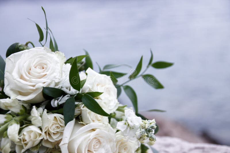 White roses bouquet stock image. Image of petal, purple - 304159955