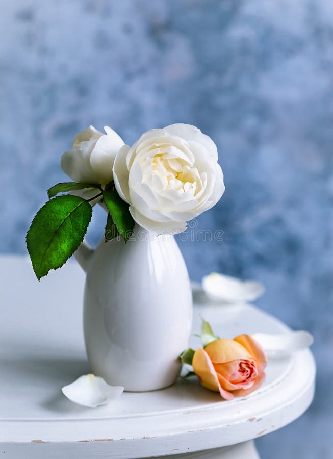 White Roses in Ceramic Vase Stock Photo - Image of floral, plant: 201093236