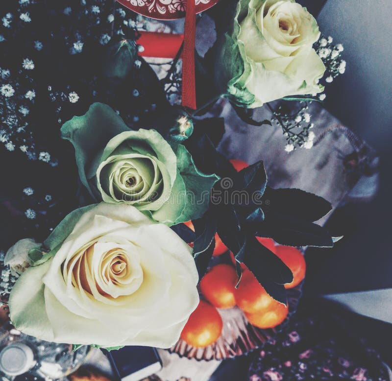 Roses in Faded Color stock photo. Image of romantic, delicacy - 5866466