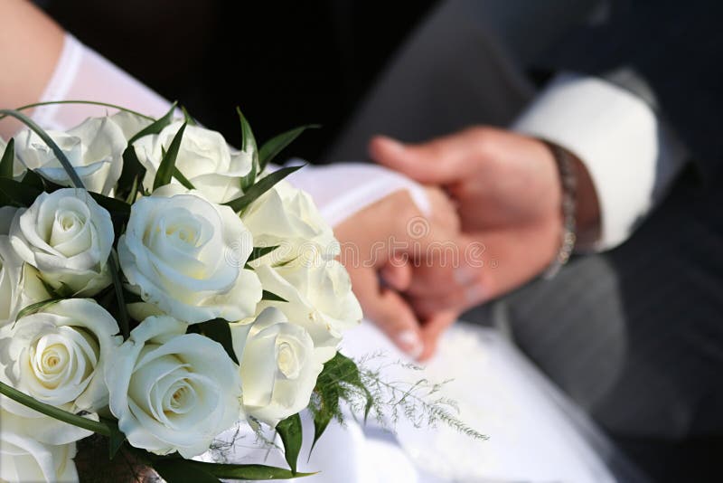 White roses and hands. stock photo. Image of beautiful - 15350104