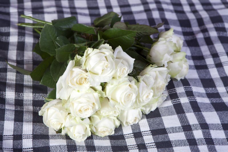 The White Roses Lie on a Checkered Plaid in a Black and White Stock ...