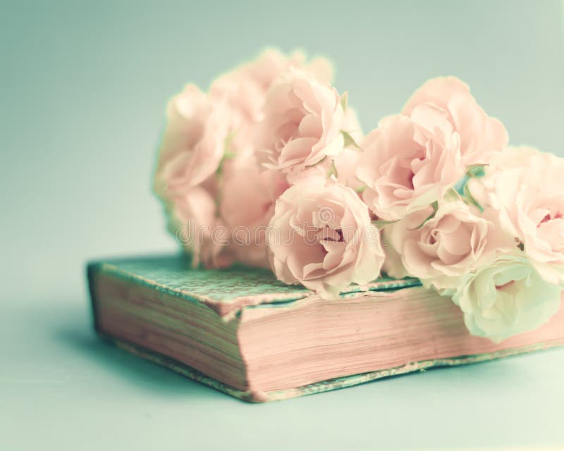 Roses over vintage book stock photo. Image of flowers - 48074172