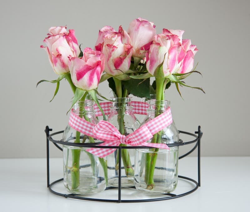 White Roses with Pink Edges Stock Photo - Image of nature, iron: 19379890