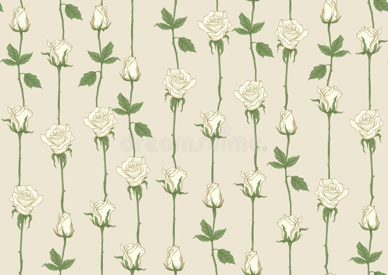 White Roses Seamless Pattern, Background. Stock Vector - Illustration ...