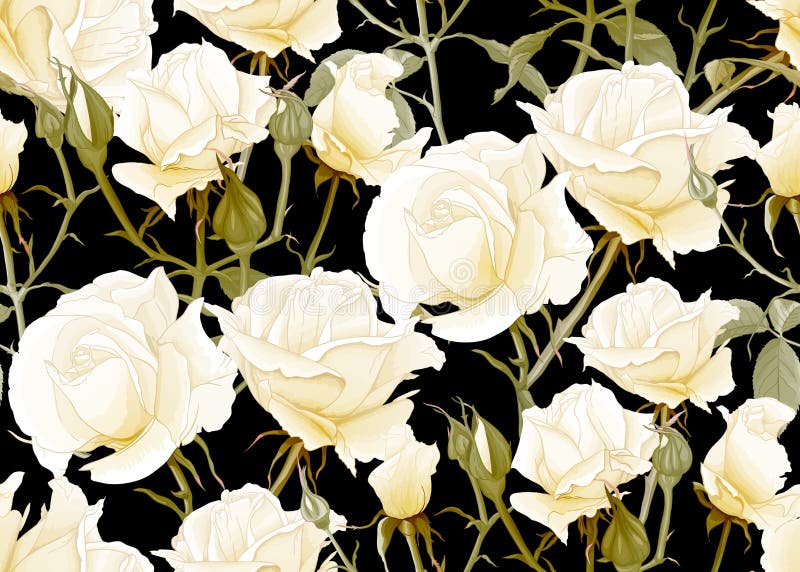White Roses Seamless Pattern. Stock Vector - Illustration of colored ...