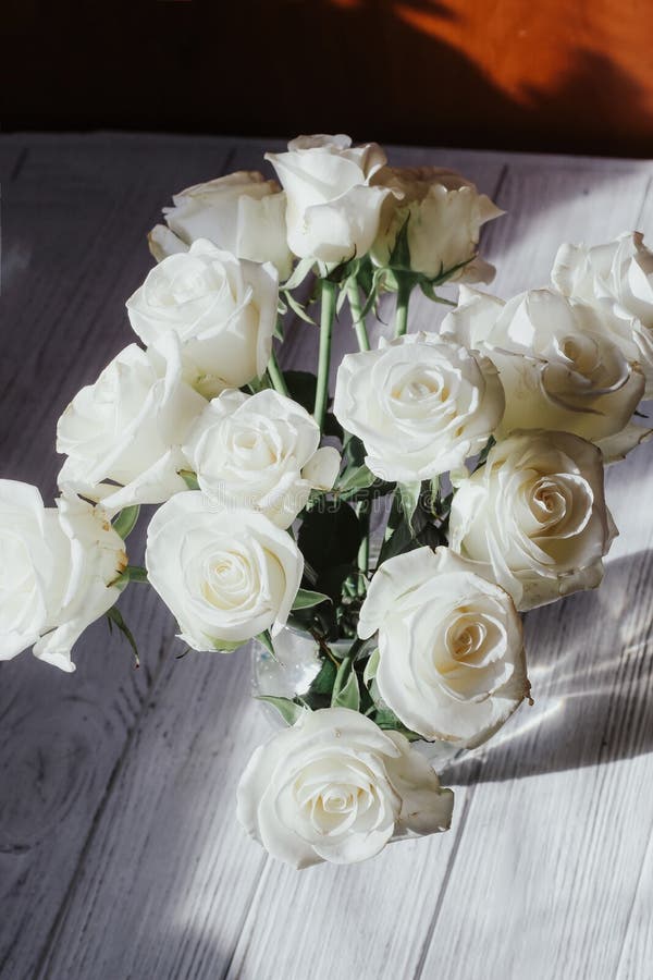 White Roses Stand in a Vase on White Wooden Boards. Stock Photo - Image ...
