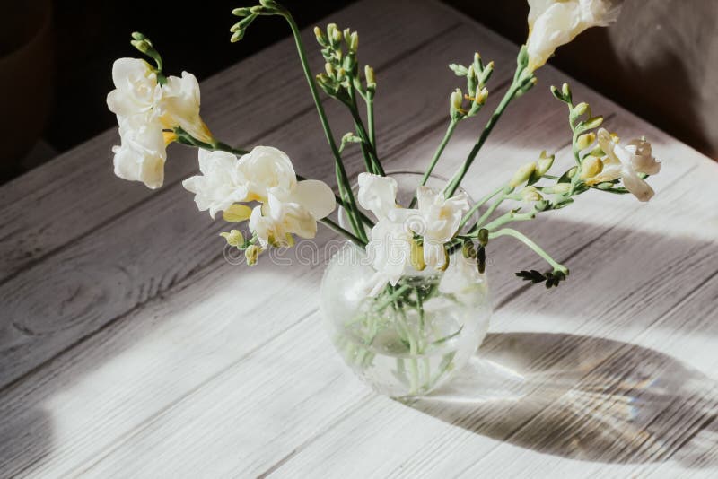 White Roses Stand in a Vase on White Wooden Boards. Stock Photo - Image ...