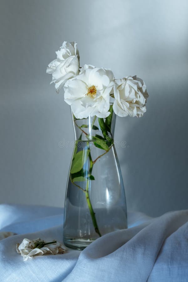 White Roses in Tall Glass Vase Stock Photo - Image of flora, glass ...