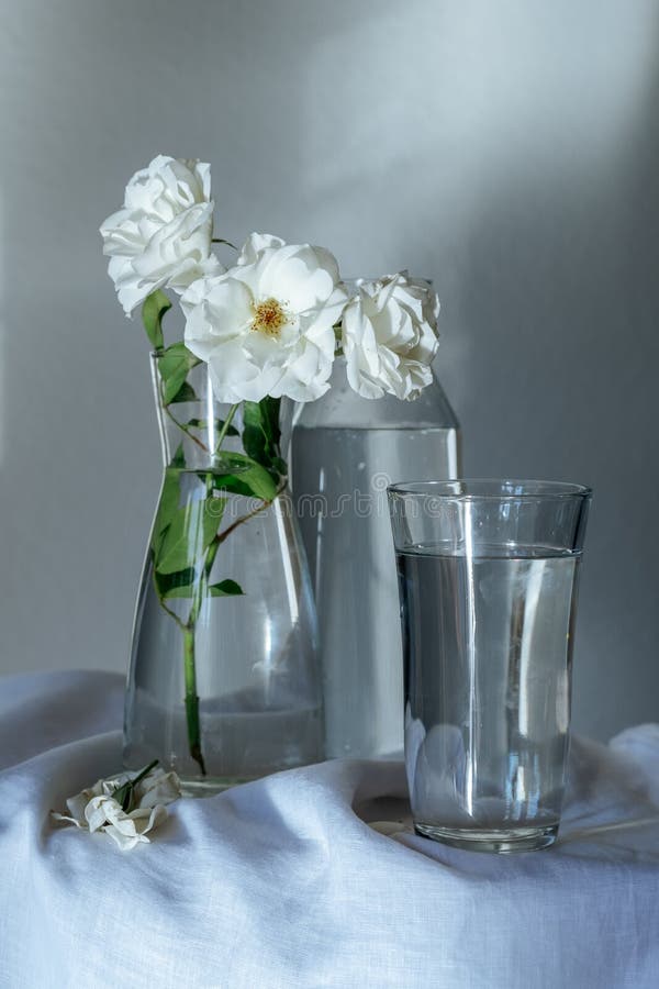 White Roses in Tall Glass Vase Stock Photo - Image of roses, exotic ...