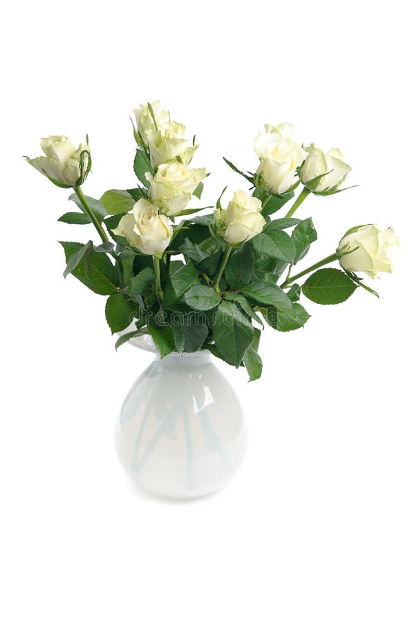 White roses in vase stock photo. Image of rose, bright - 19062946
