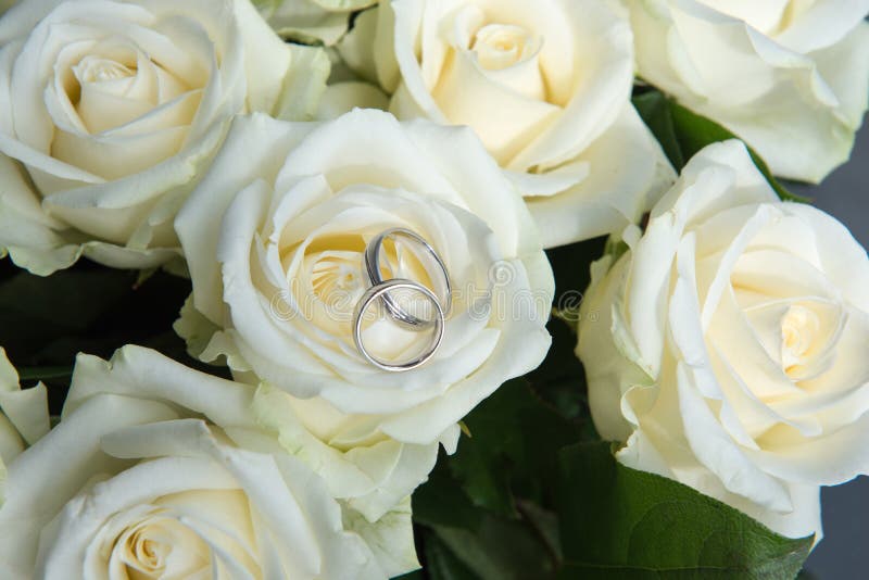 White roses at wedding stock photo. Image of blooming - 78164428