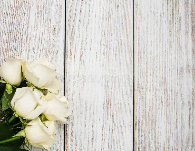 White Roses on a Wooden Table Stock Photo - Image of flowers, beauty ...