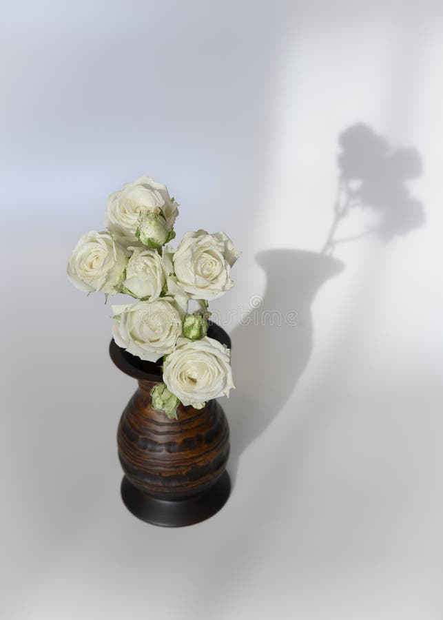 White Roses in a Wooden Vase on a White Background Casting Long Shadows ...