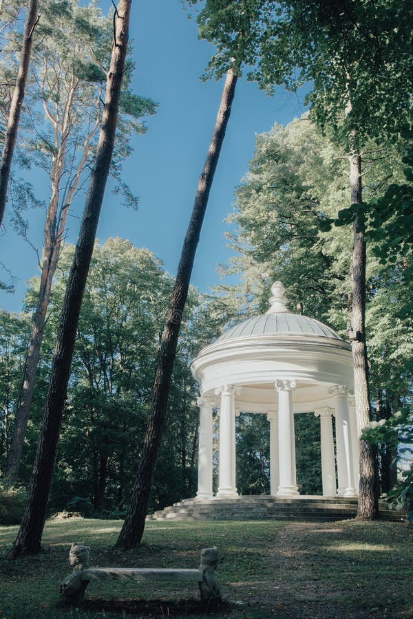 White Rotunda in a Forest Clearing Stock Photo - Image of gazebo ...
