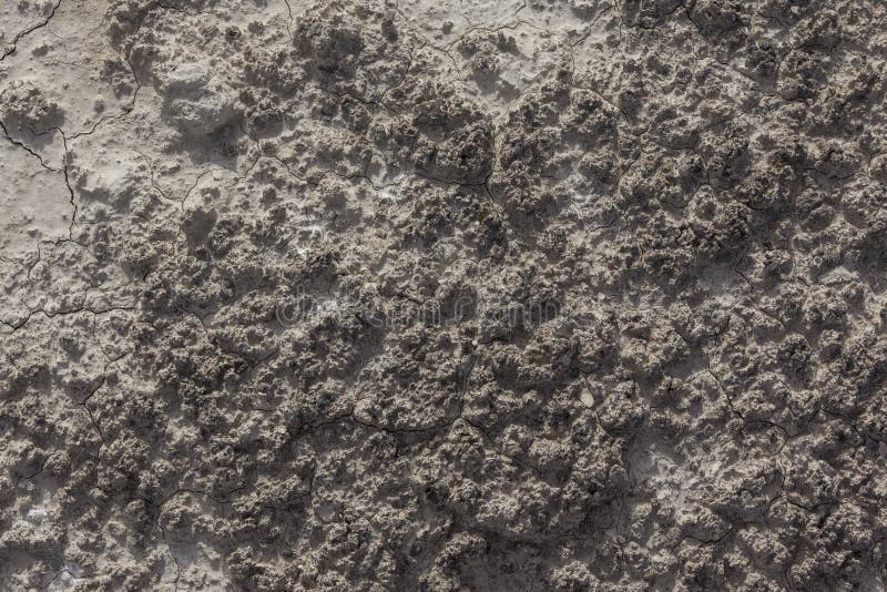 White Cracked Lumpy Soil from Side Stock Image - Image of desert, soil ...