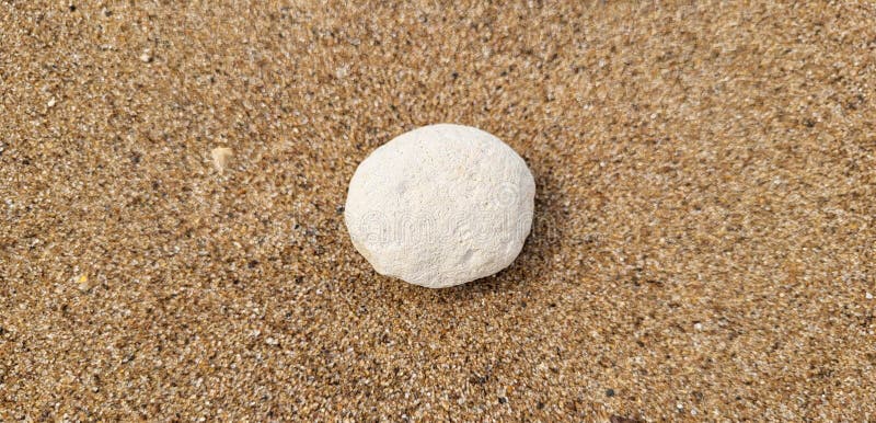 White Round Stone on the River Sand on the Beach Stock Photo - Image of ...