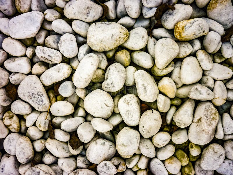 White Rounded Rocks Stones Texture Abstract Background Stock Photo ...