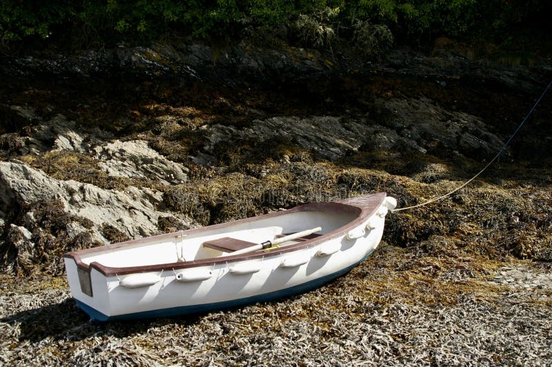 White Rowing Boat Pulled Up on Seaweed Covered Beach, Cornwall, England ...