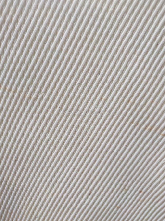 White Rubber Sheet CLOSE UP Stock Image - Image of pattern, textile ...