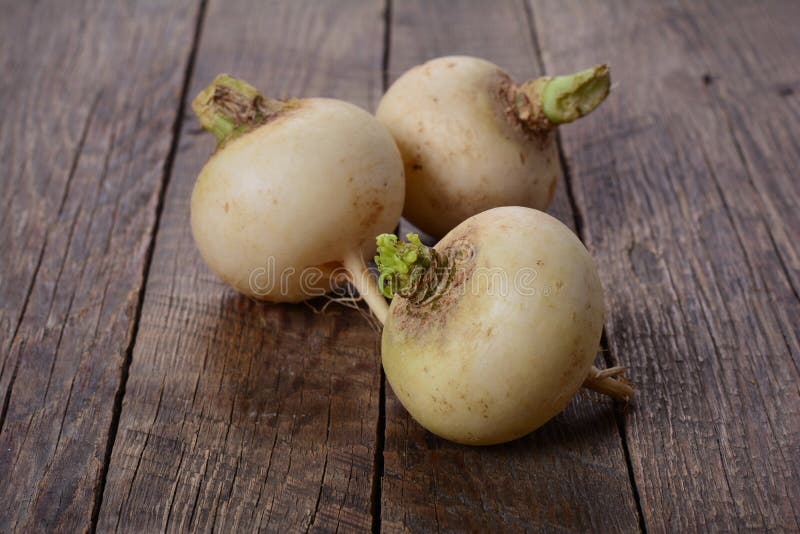White turnip stock image. Image of plant, ingredient - 63011071