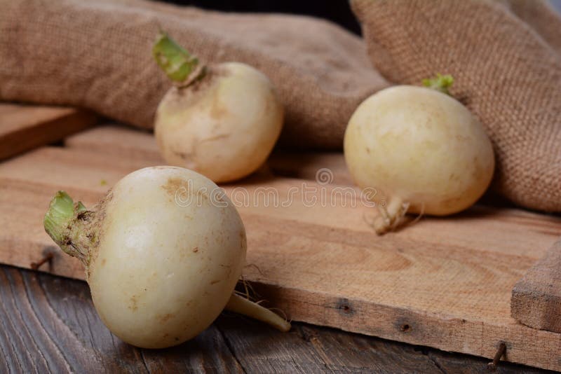 Turnip stock photo. Image of ripe, juice, leaves, navet - 63011090