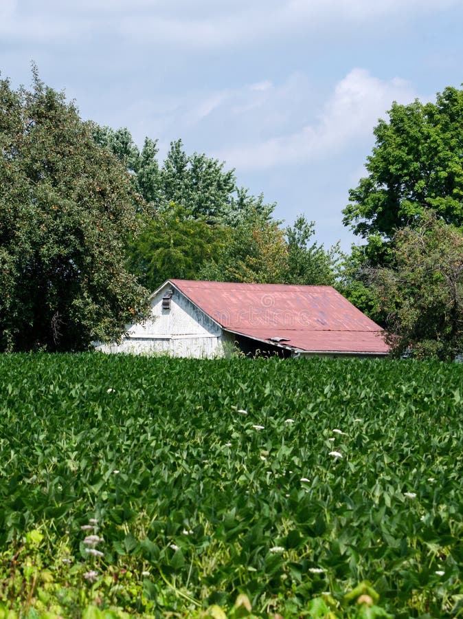 Michigan Barn with Hay Bale Stock Image - Image of rural, nature: 34639149
