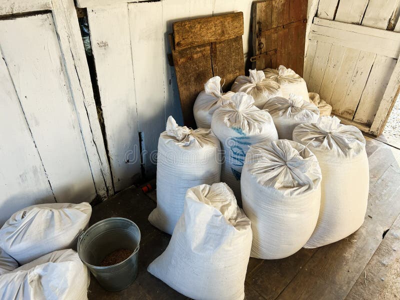 White Sacks of Stored Grain Inside a Rustic Wooden Barn with Natural ...