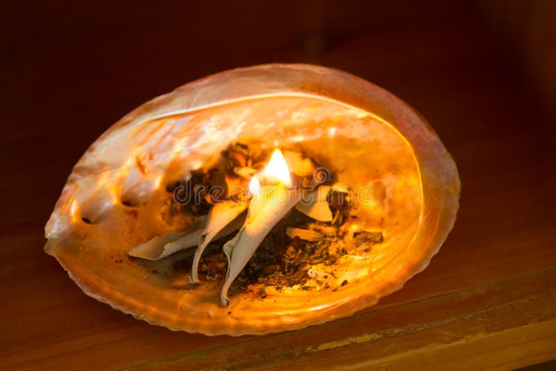 White sage stock image. Image of california, salvia, rites - 89956499