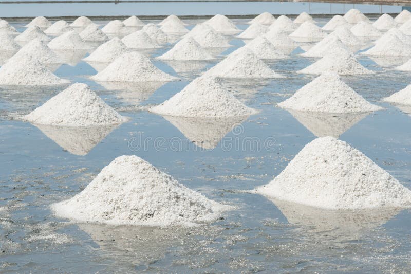 White Salt Fields in Thailand. Stock Photo - Image of reflection ...