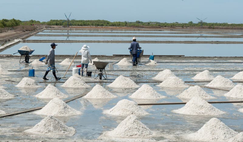 White Salt Fields in Thailand. Editorial Stock Photo - Image of ...