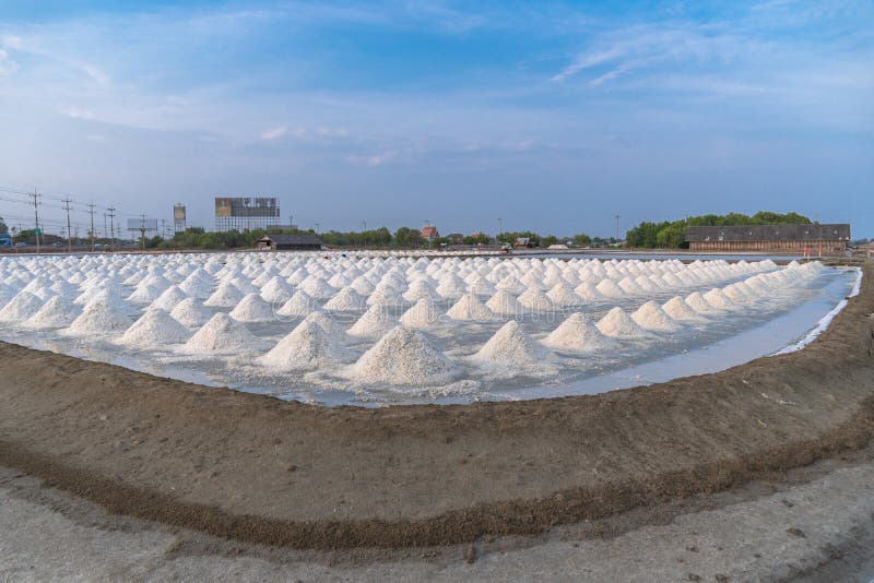 White Salt Piles in the Vast Salt Fields Stock Photo - Image of fields ...
