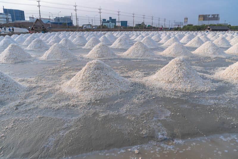 White Salt Piles in the Vast Salt Fields Stock Image - Image of ...