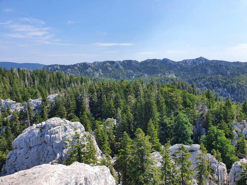 White and Samarian rocks stock image. Image of vegetation - 227308351