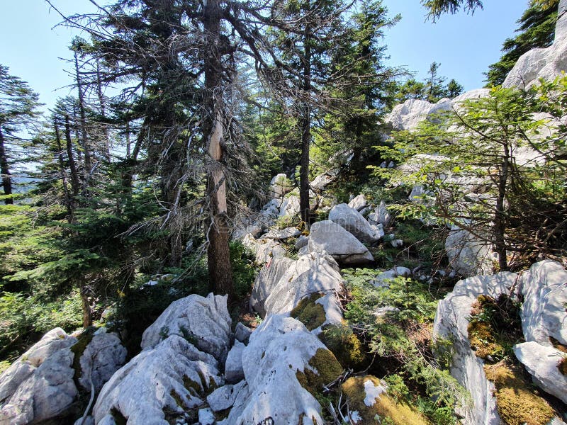 White and Samarian rocks stock photo. Image of ridge - 227308238