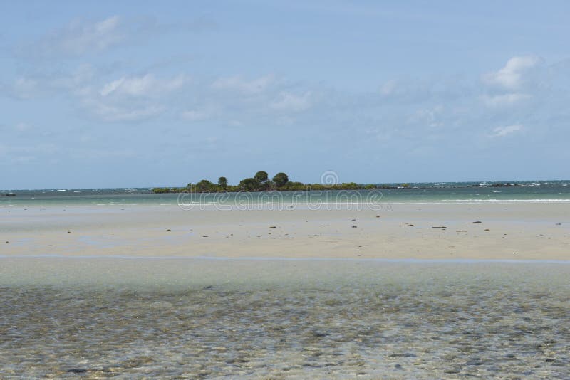 White Sand Beach, Australia Stock Photo - Image of travel, queensland ...