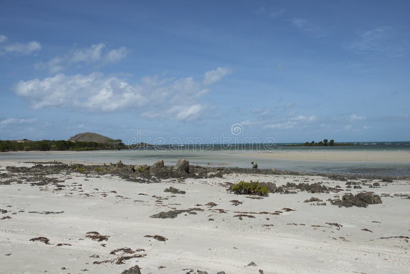 White Sand Beach, Australia Stock Image - Image of cooktown, travel ...