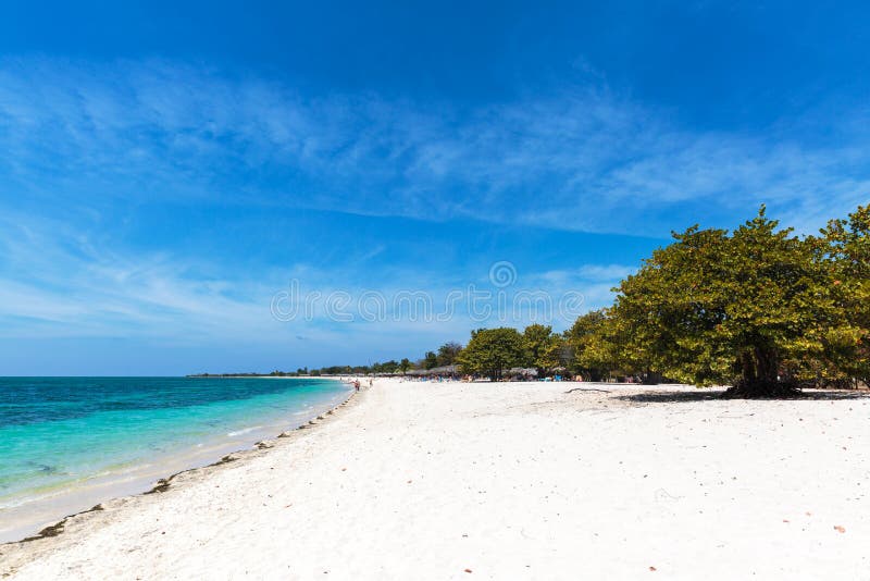 White sand beach in Cuba stock photo. Image of romantic - 60210176