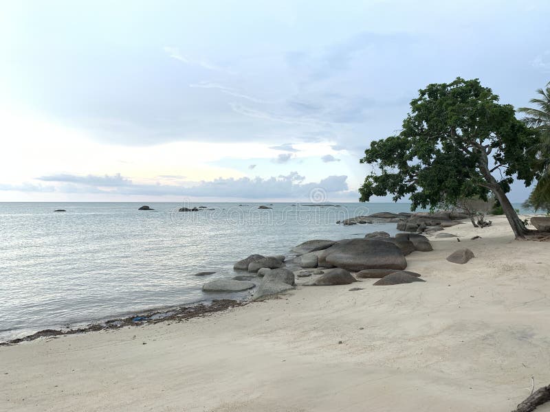 Beach Shade stock photo. Image of shade, lounging, seascape - 271320