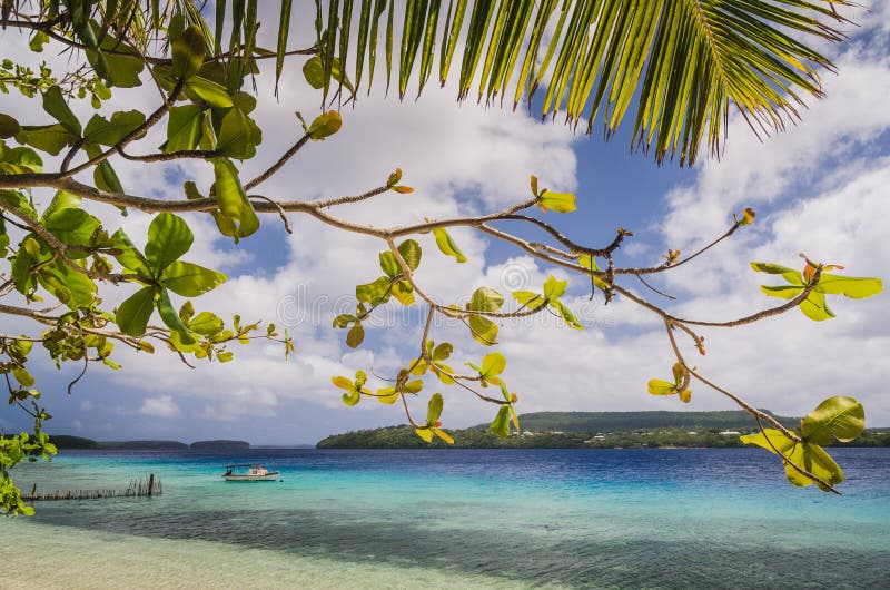 White Sand Beaches in the Kingdom of Tonga Stock Photo - Image of clear ...